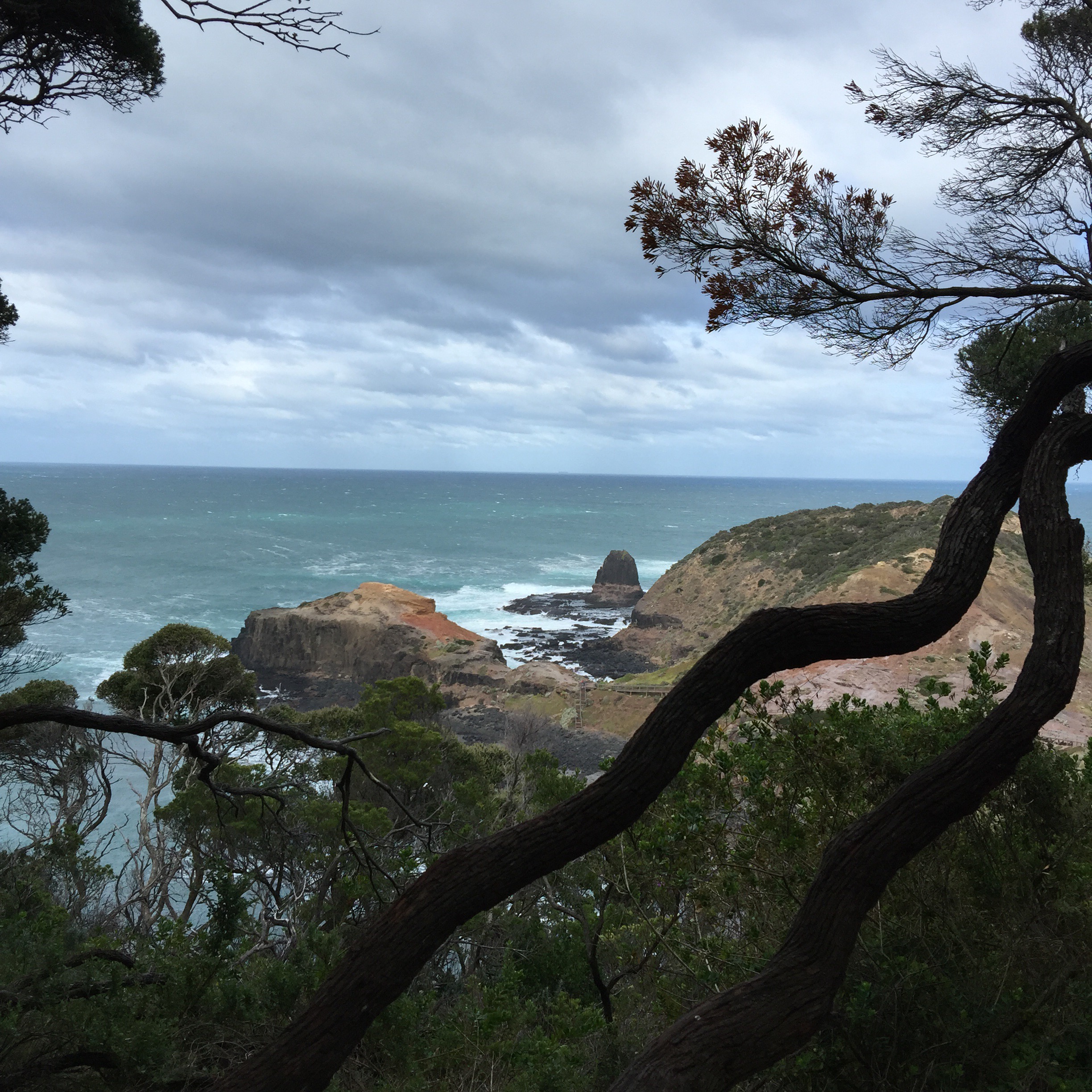 Twilight thinking… – Charlie Ann Alford